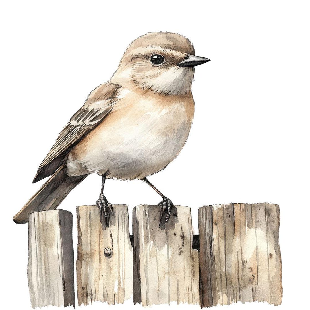 12x Watercolor Songbird Clipart, Birds on Wooden Fence PNG, Printable ...