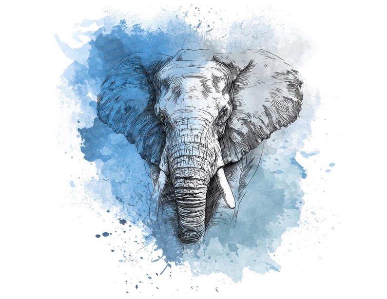 12x Elephant Head PNG Clipart, Watercolor Elephant Clip Art Set ...