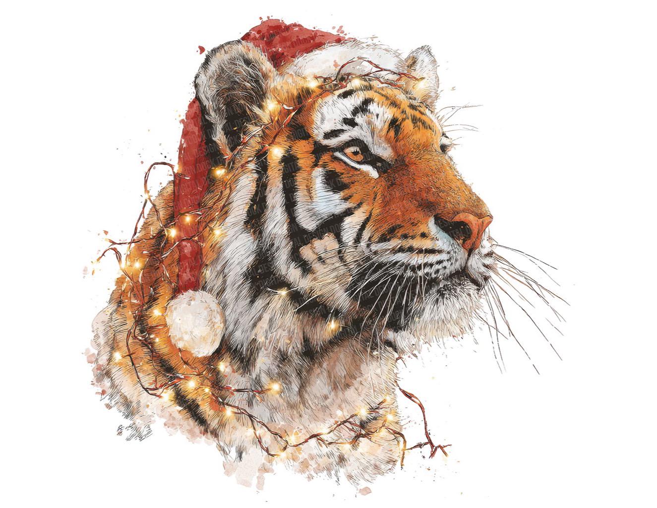 Christmas Tiger Clipart, 12x Santa Hat Tigers PNG, Printable Watercolor ...