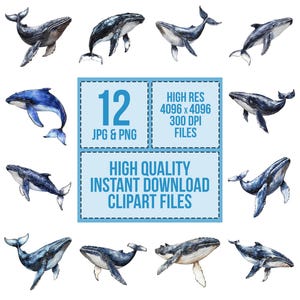 Whale PNG Clipart, 12x Watercolor Ocean Animals Clip Art Set, Printable ...