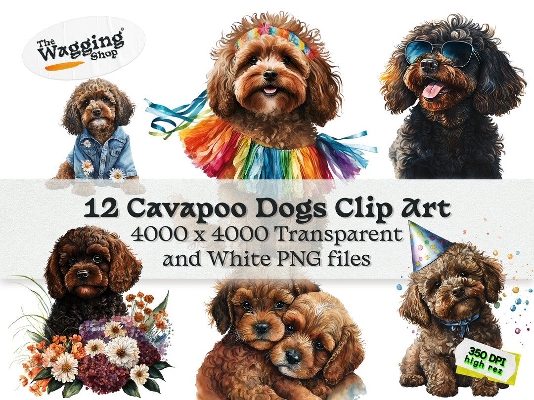 Cavapoo Dogs Puppies Watercolour Style Clip Art High Resolution ...