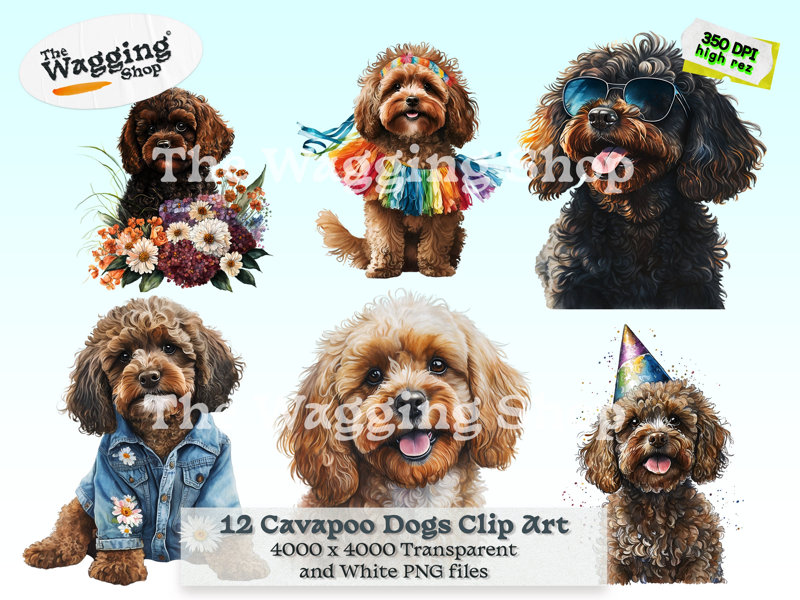 Cavapoo Dogs Puppies Watercolour Style Clip Art High Resolution ...