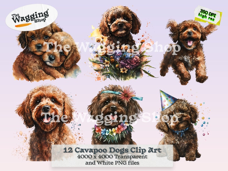 Cavapoo Dogs Puppies Watercolour Style Clip Art High Resolution ...