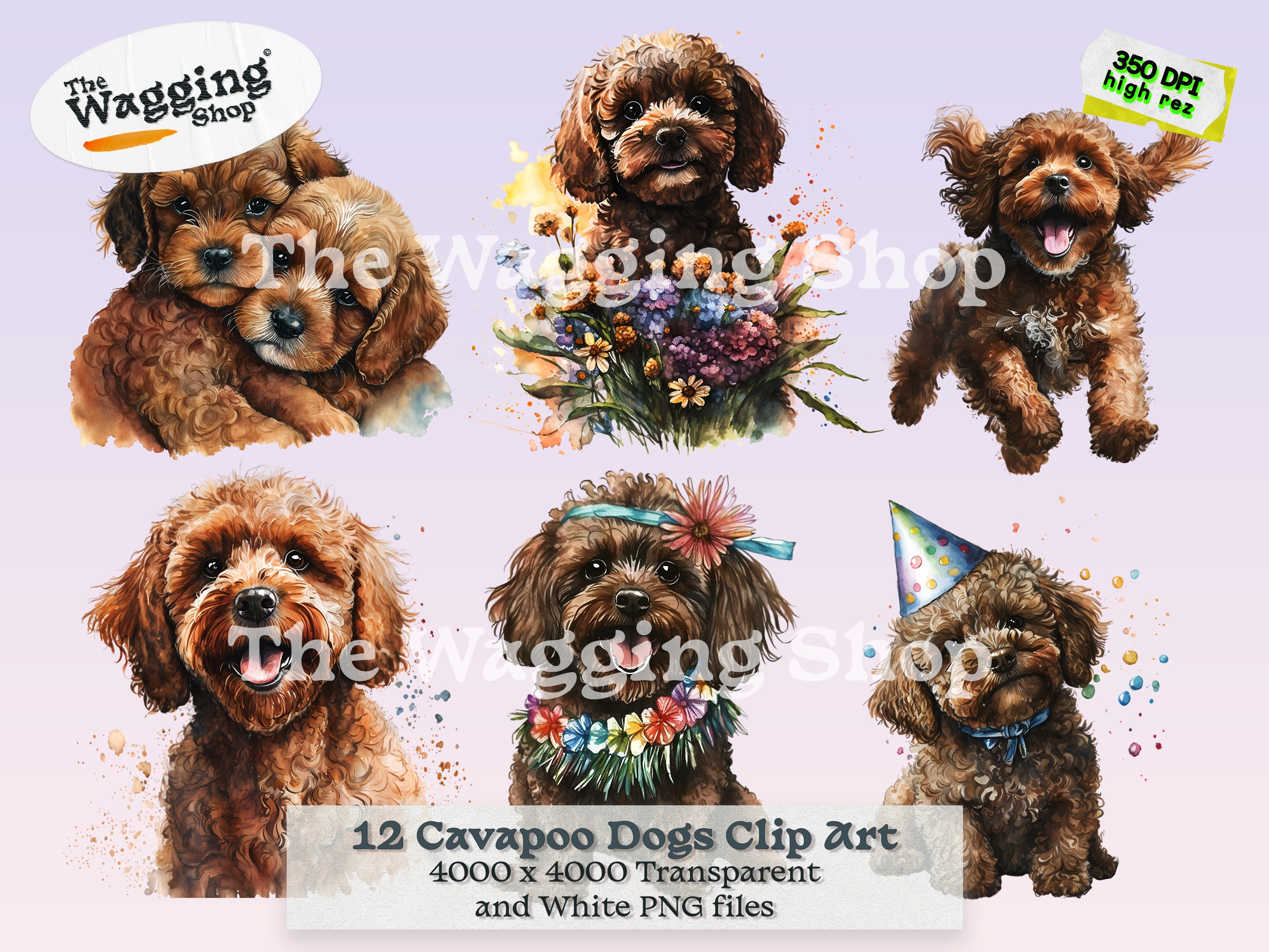 Cavapoo Dogs Puppies Watercolour Style Clip Art High Resolution ...
