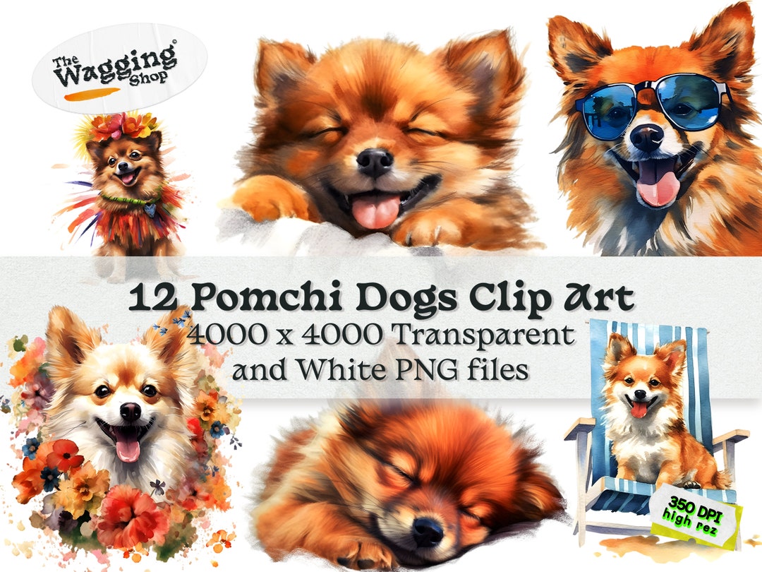 Pomchi Dogs Puppies Watercolour Style Clip Art High - Etsy