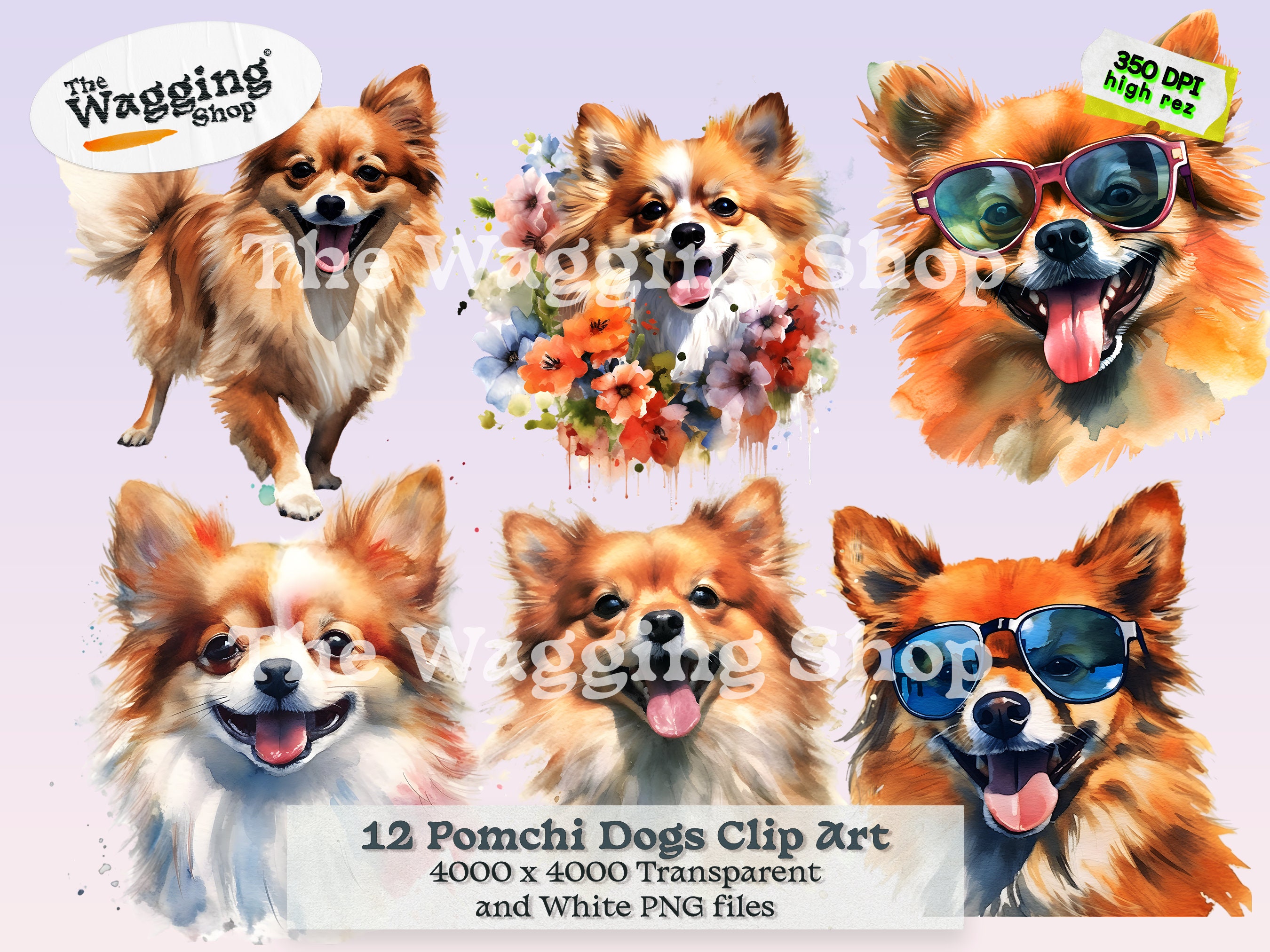 Pomchi Dogs Puppies Watercolour Style Clip Art High - Etsy