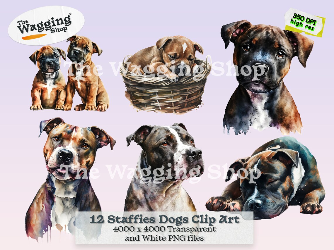 Staffie, Staffordshire Bull Terrier Dogs Watercolour Style Clip Art ...