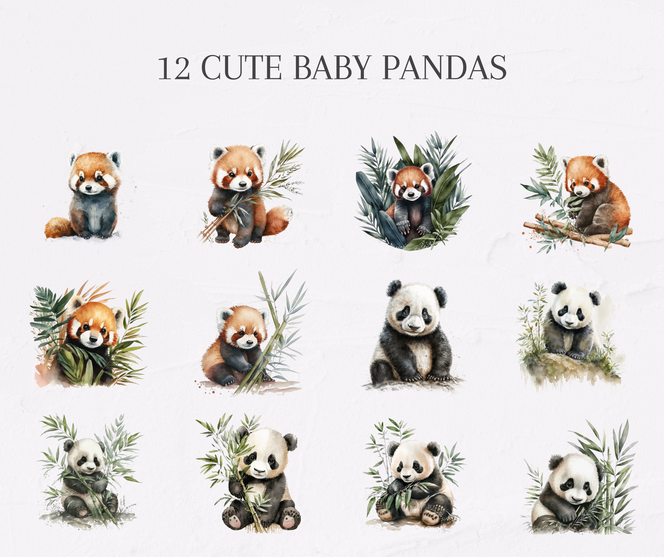 Watercolor Cute Baby Pandas Clipart Pack, Clipart for Commercial Use ...