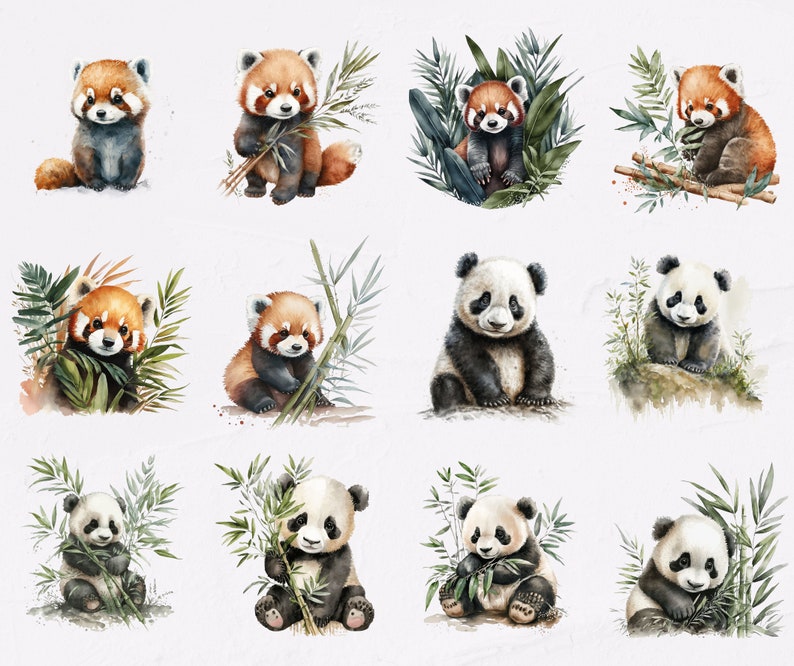 Watercolor Cute Baby Pandas Clipart Pack, Clipart for Commercial Use ...