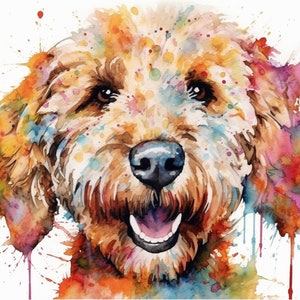 Watercolor Labradoodle Goldendoodle Poster Print. Colorful Wall Art ...
