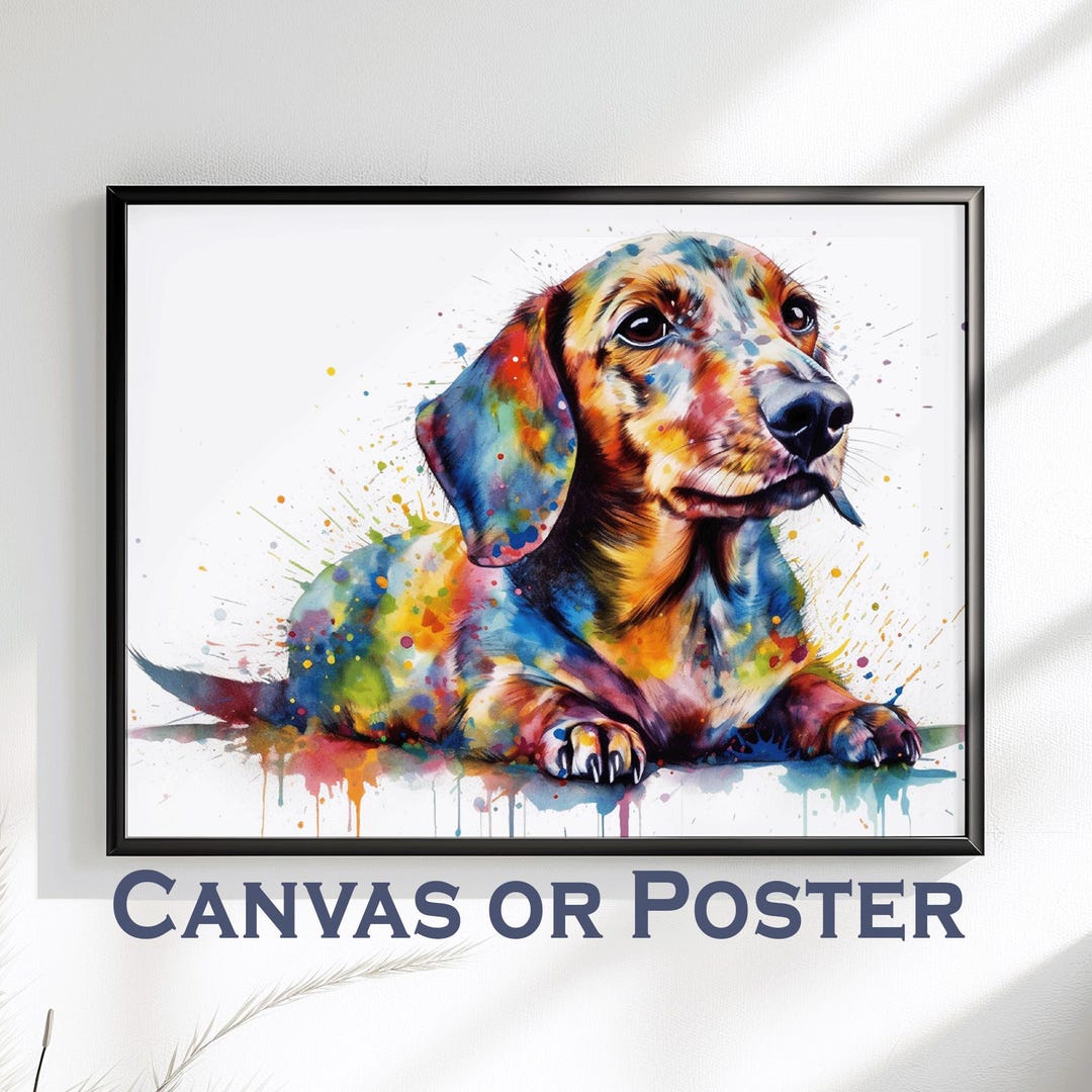 Watercolour Dachshund Canvas or Poster Print. Colourful Paint Splash ...
