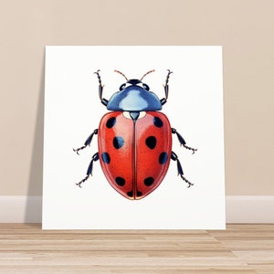 Ladybug on White Background Art Print, Ladybird Painting Poster ...