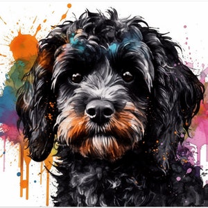 Black Cavapoo Paint Splash Poster Print. Unframed Abstract Colourful ...