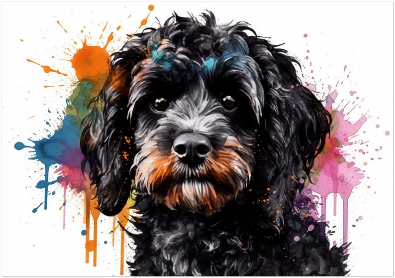 Black Cavapoo Paint Splash Poster Print. Unframed Abstract Colourful ...