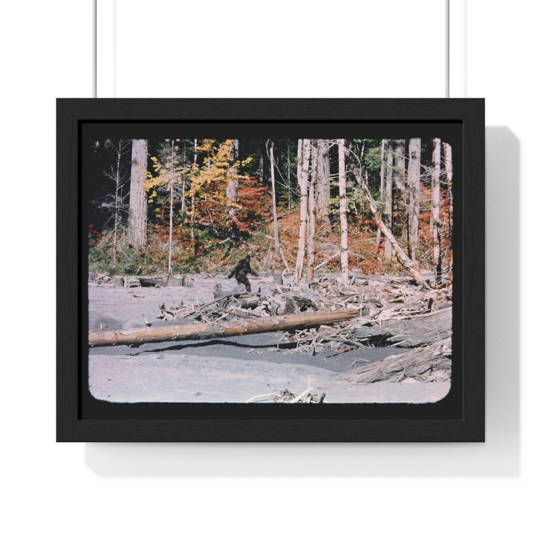 Bigfoot Large Patterson Gimlin Film Frame 352 wooden Framed Art Print ...
