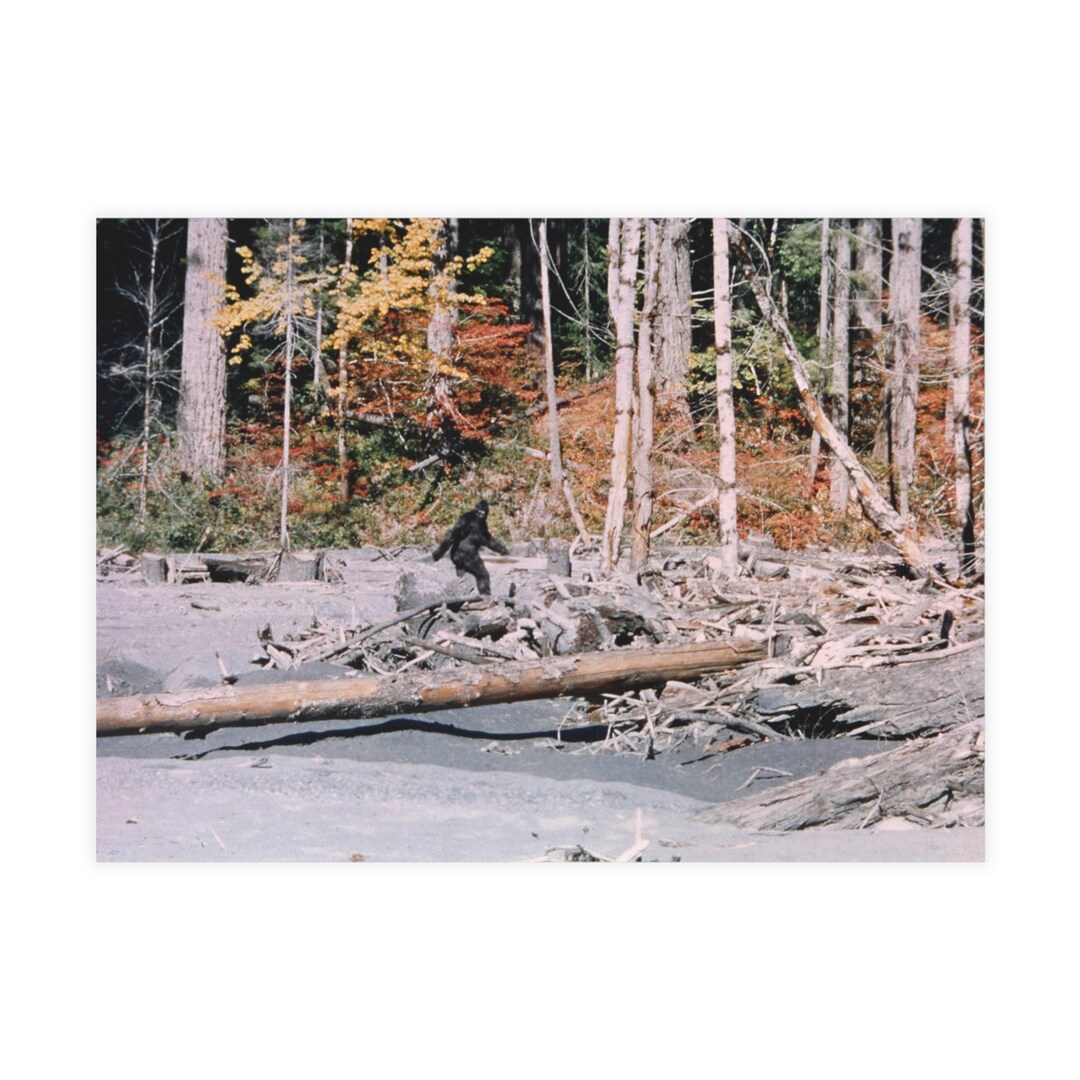 Bigfoot Full Frame 352 Postcard Bundles envelopes Included - Etsy
