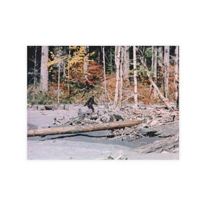 Bigfoot Full Frame 352 - Postcard Bundles (envelopes Included) - Etsy