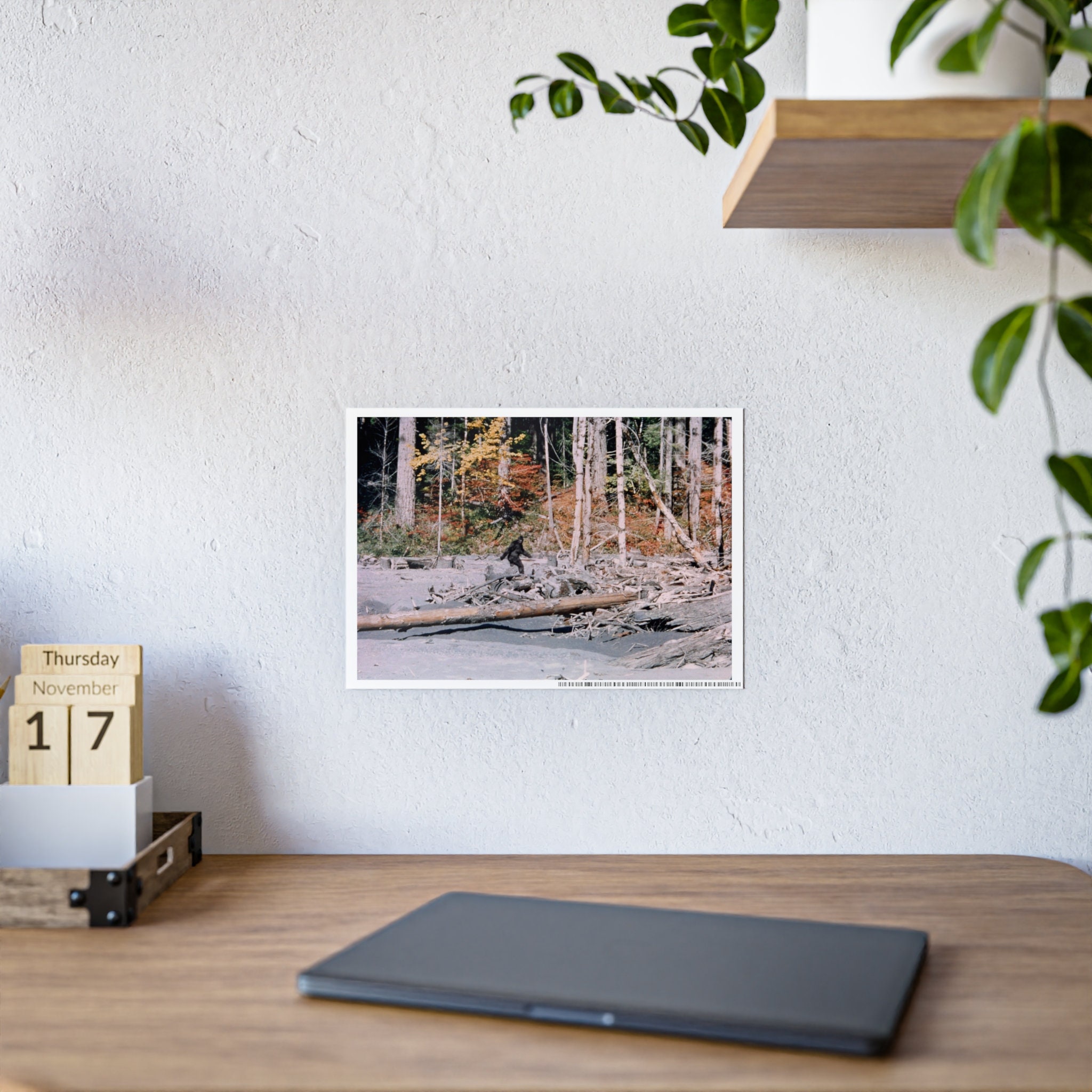 Bigfoot Patterson Gimlin Film Frame 352 high Gloss Poster - Etsy