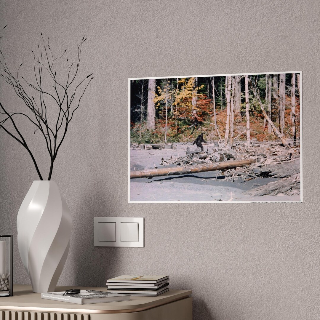 Bigfoot - Patterson Gimlin Film Frame 352 (high Gloss Poster) - Etsy