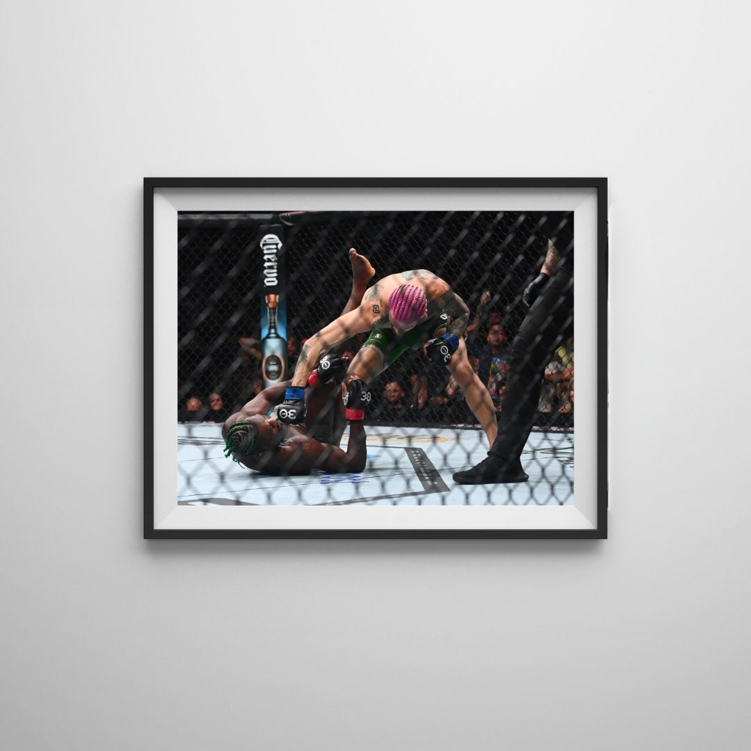 Sean O'malley Poster UFC Wall Art Frame MMA Digital Print - Etsy
