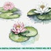 Watercolor Lily Pad Clipart Bundle, Frog Pond PNG Digital Download ...
