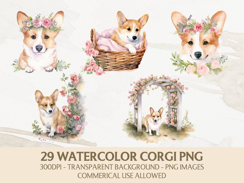 Watercolor Corgi Clipart, Corgi Png Bundle, Instant Digital Download ...