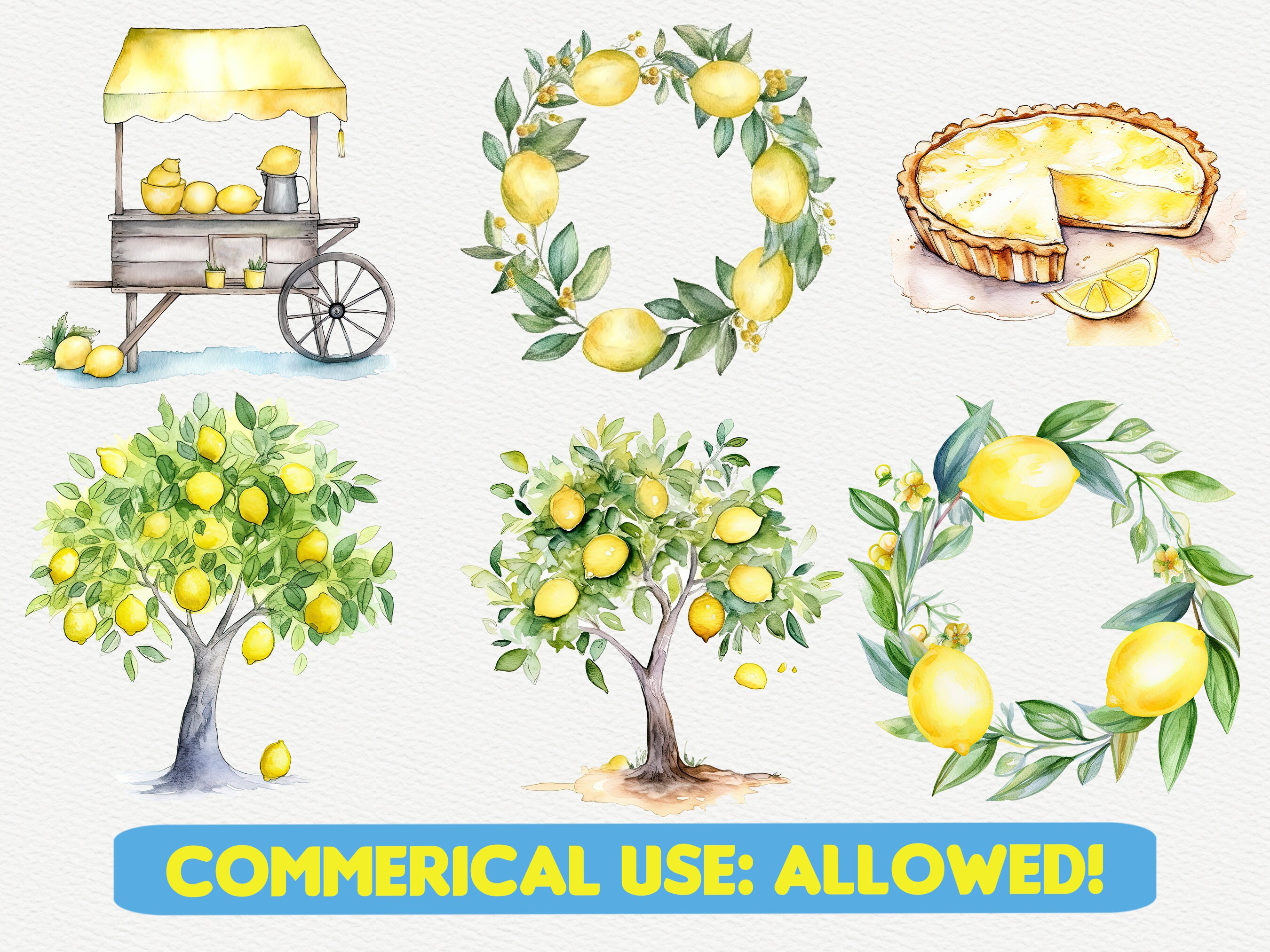 Watercolor Lemon Clipart, Citrus Fruit Png, PNG Digital Download ...