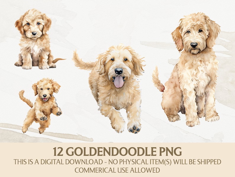 Watercolor Goldendoodle Clipart, Goldendoodle Png Bundle, Instant ...