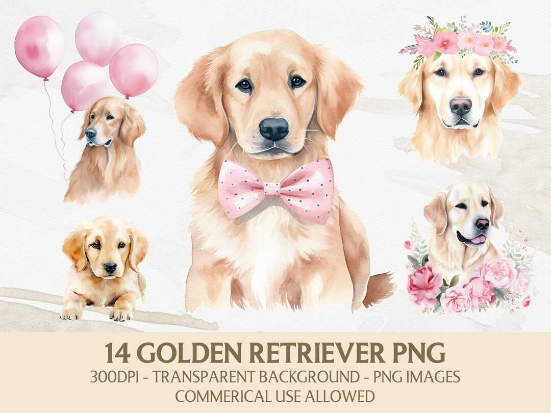 Watercolor Golden Retriever Clipart, Golden Retriever Png Bundle ...