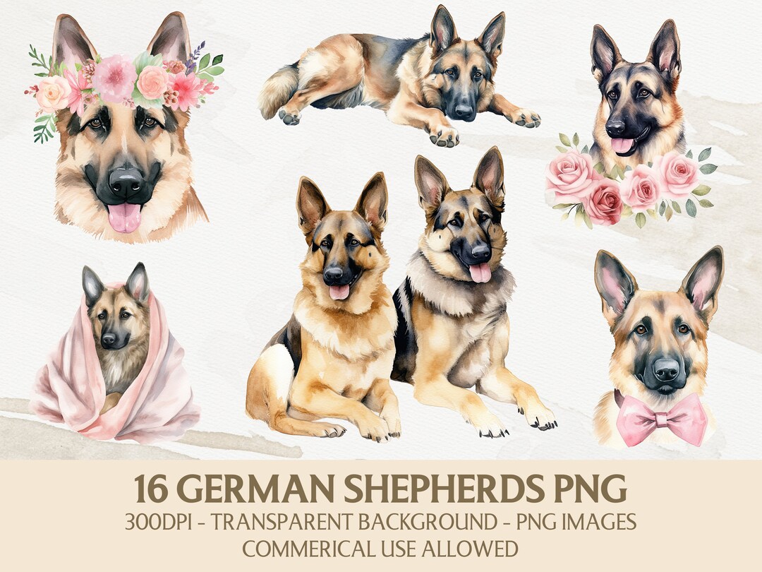Watercolor German Shepherd Clipart, German Shepherd Png Bundle, Instant ...
