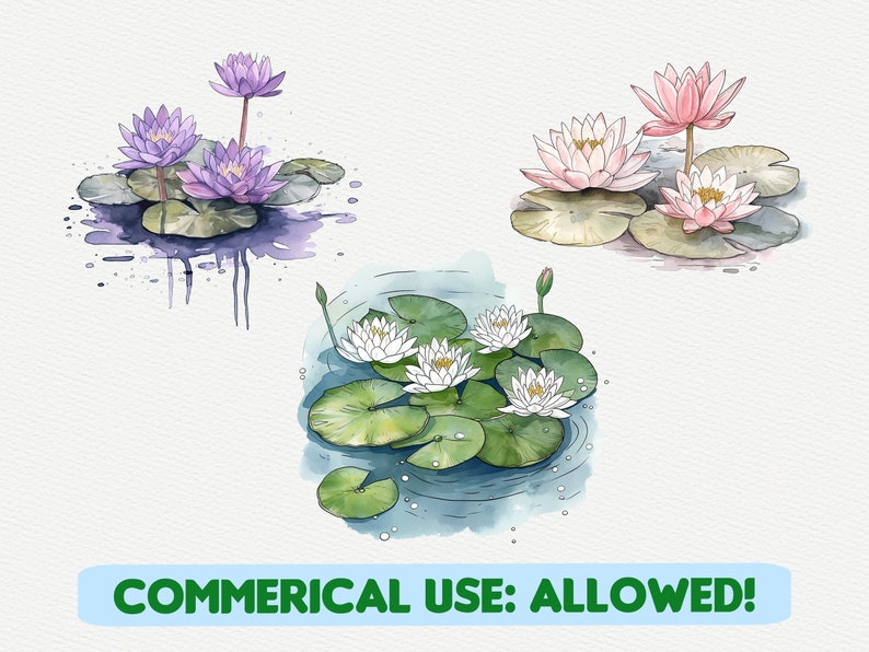 Watercolor Lily Pad Clipart Bundle, Frog Pond PNG Digital Download ...