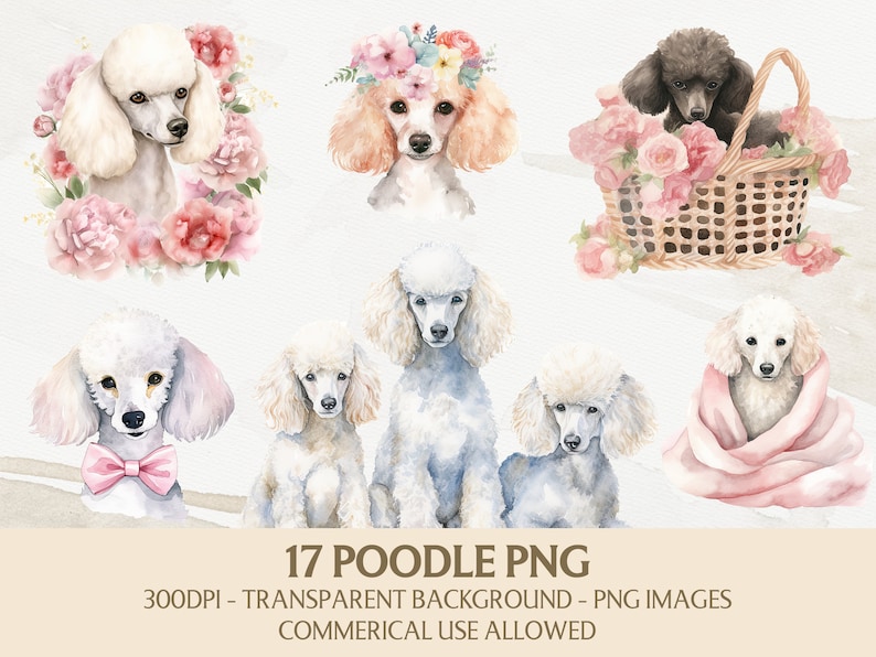 Aquarell Pudel Clipart, Pudel Png Bundle, sofortiger digitaler Download ...