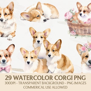Watercolor Corgi Clipart, Corgi Png Bundle, Instant Digital Download ...