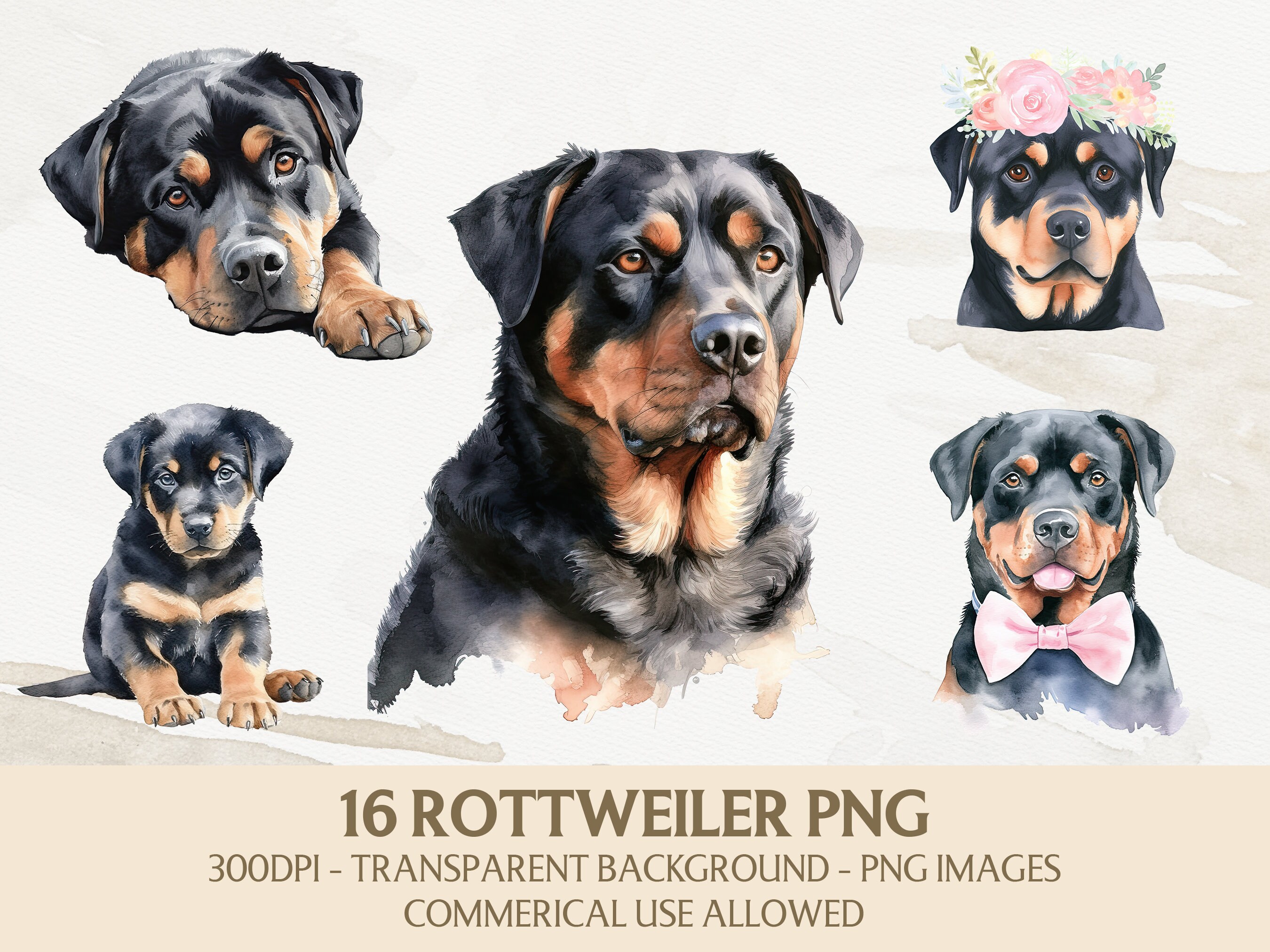 Watercolor Rottweiler Clipart, Rottweiler Png Bundle, Instant Digital ...