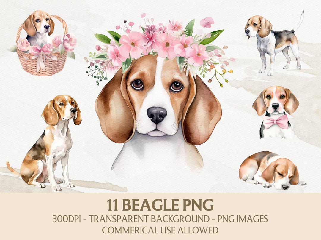 Watercolor Beagle Clipart, Beagle Png Bundle, Instant Digital Download ...