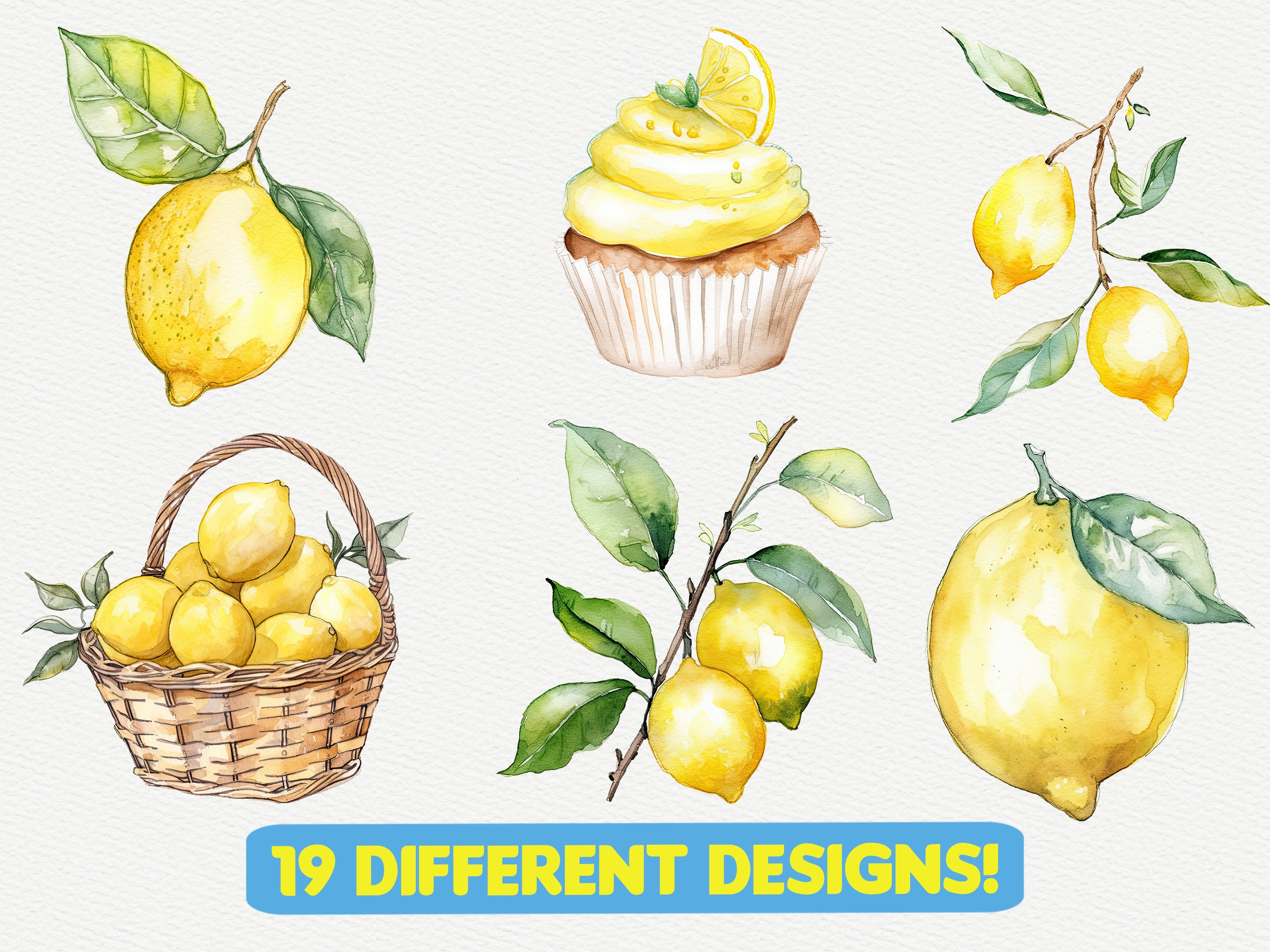 Watercolor Lemon Clipart, Citrus Fruit Png, PNG Digital Download ...