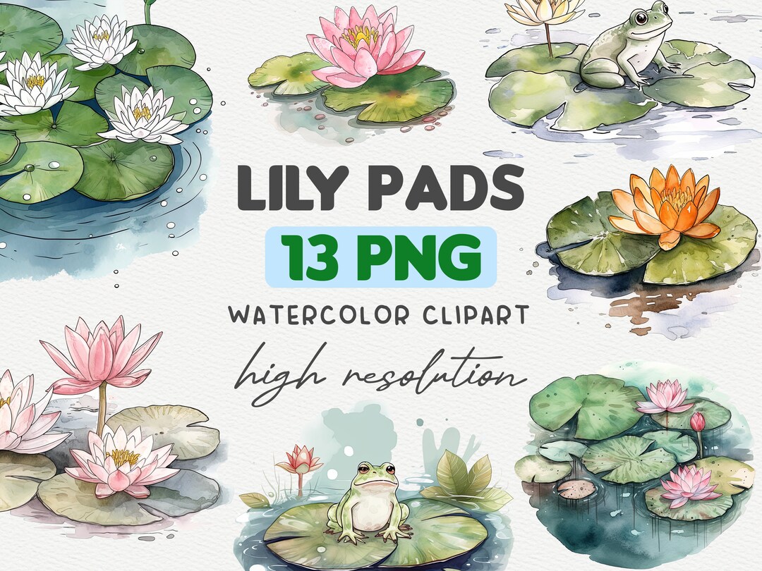 Watercolor Lily Pad Clipart Bundle, Frog Pond PNG Digital Download ...