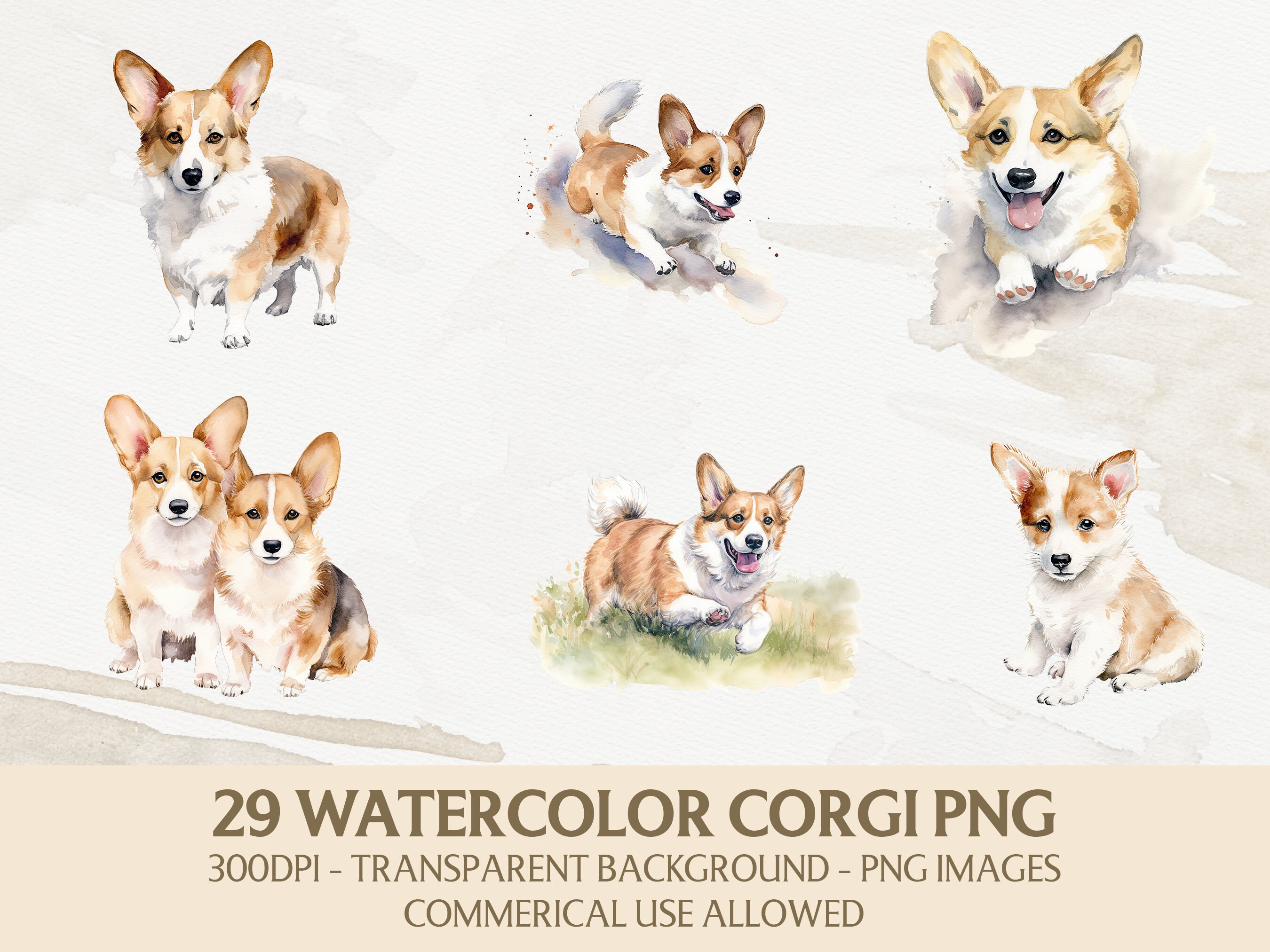 Watercolor Corgi Clipart, Corgi Png Bundle, Instant Digital Download ...