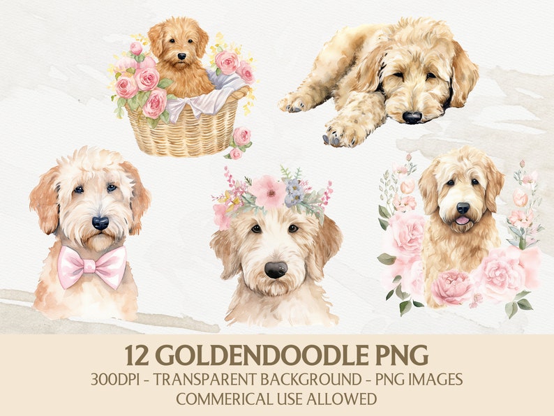 Watercolor Goldendoodle Clipart, Goldendoodle Png Bundle, Instant ...
