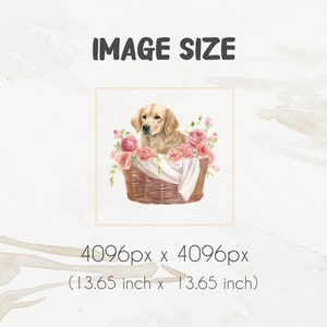 Watercolor Golden Retriever Clipart, Golden Retriever Png Bundle ...