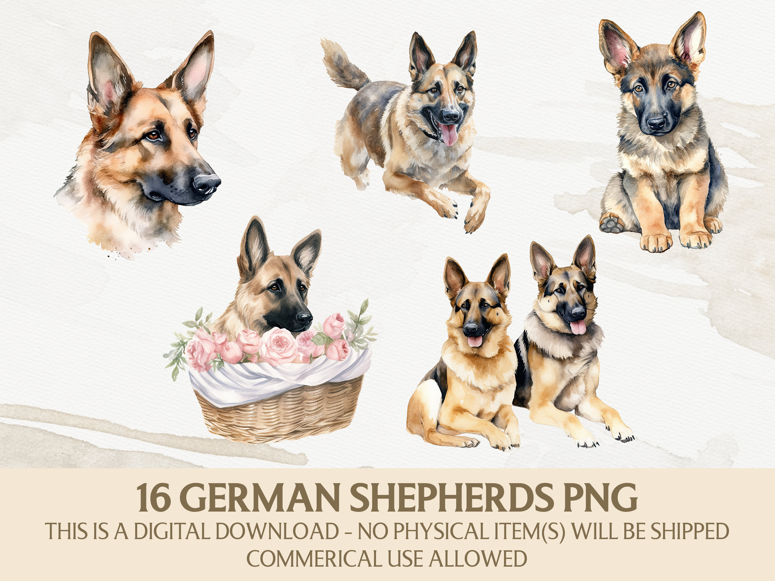 Watercolor German Shepherd Clipart, German Shepherd Png Bundle, Instant ...