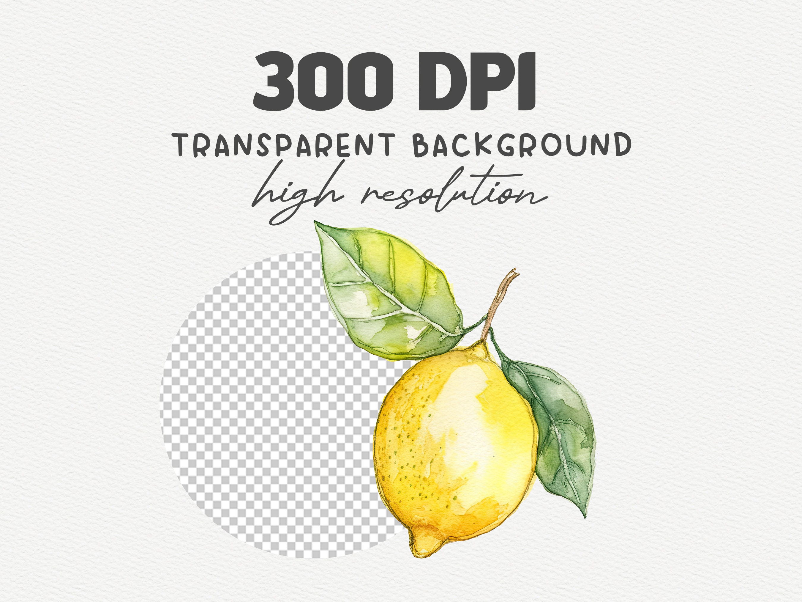 Watercolor Lemon Clipart, Citrus Fruit Png, PNG Digital Download ...