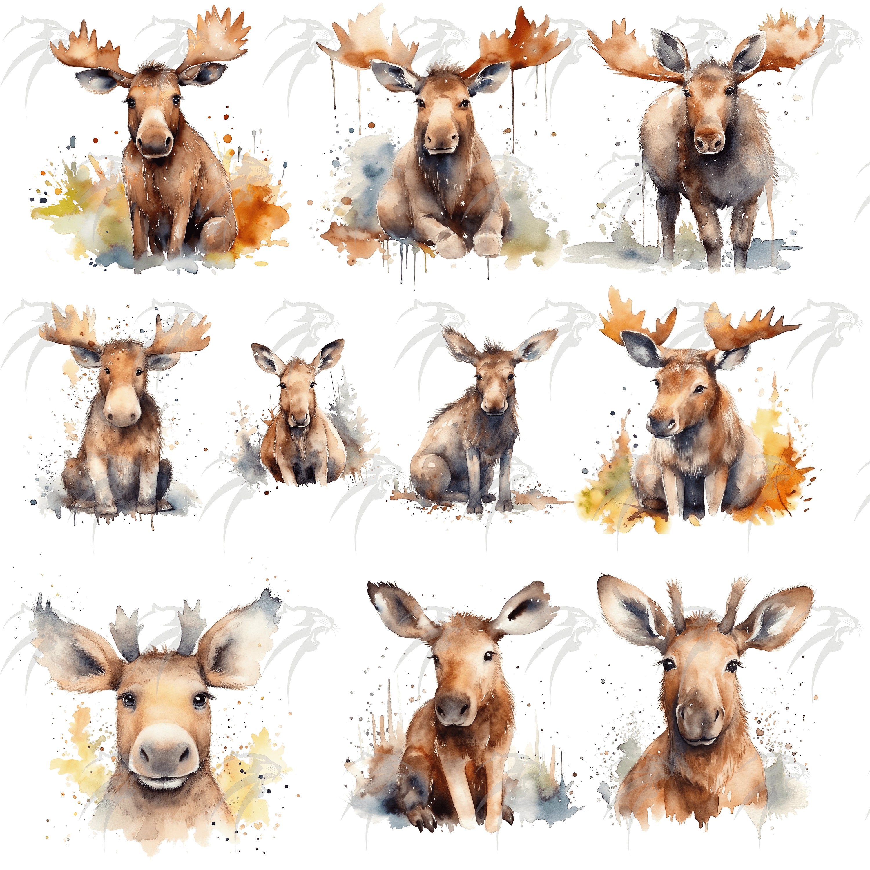 Watercolor Cute Small Moose 20 High Quality Digital Art Pngs - Etsy