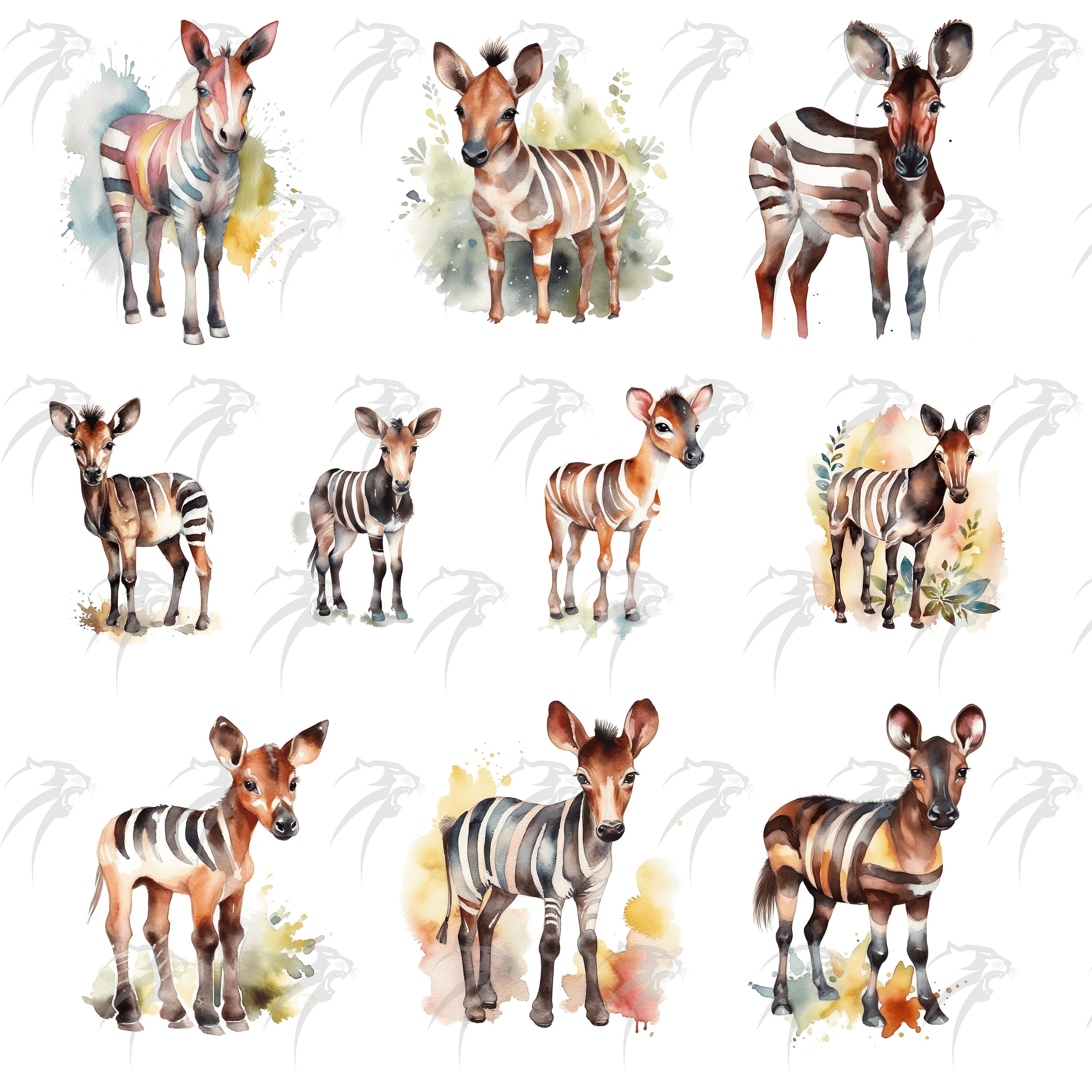 Watercolor Cute Small Okapi 20 High Quality Digital Art Pngs Cute Okapi ...
