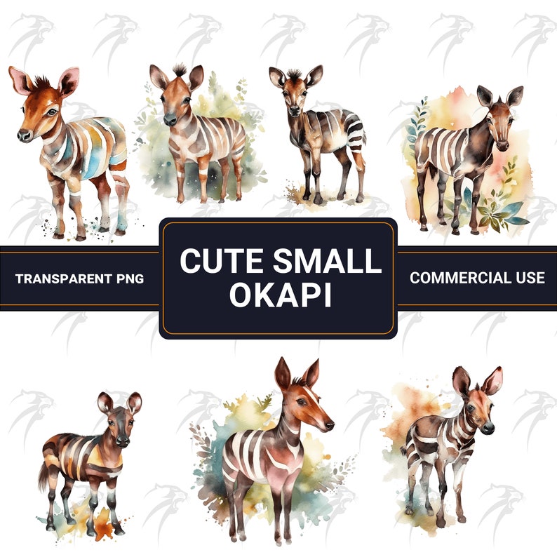 Watercolor Cute Small Okapi 20 High Quality Digital Art Pngs Cute Okapi Cliparts Free for ...