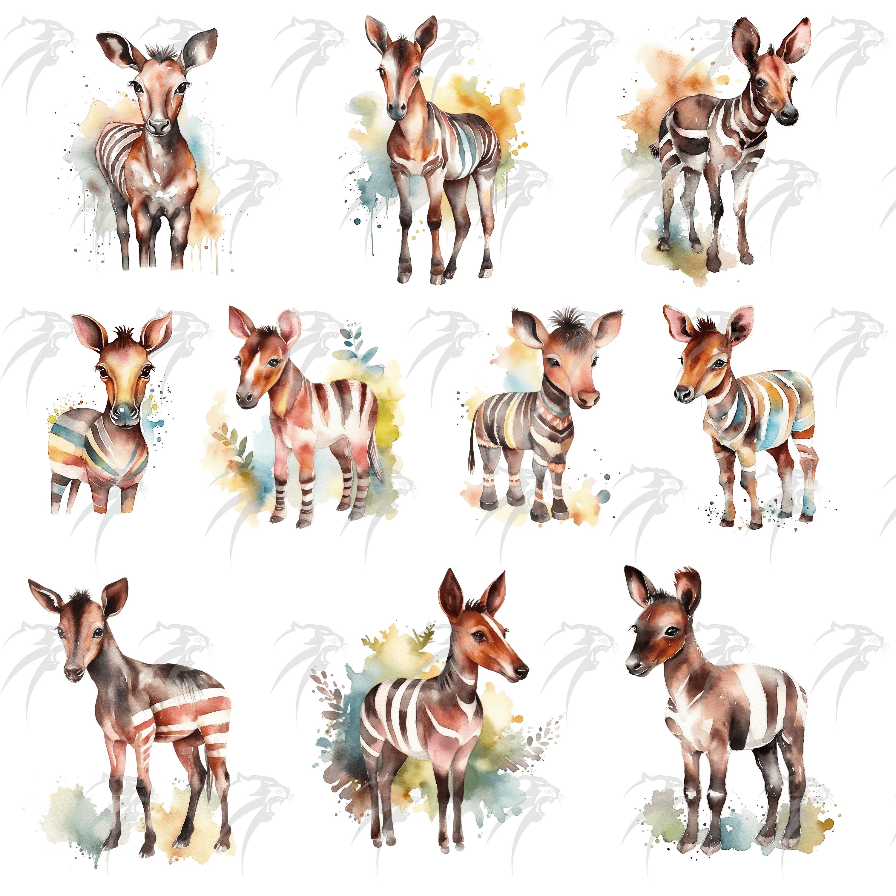 Watercolor Cute Small Okapi 20 High Quality Digital Art Pngs Cute Okapi ...