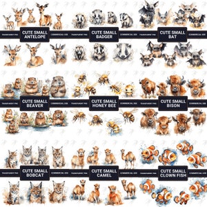 1100 Animals Clipart Megabundle COMMERCIAL USE mega Bundle Png animated ...