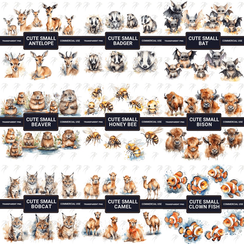 1100 Animals Clipart Megabundle COMMERCIAL USE mega Bundle Png animated ...