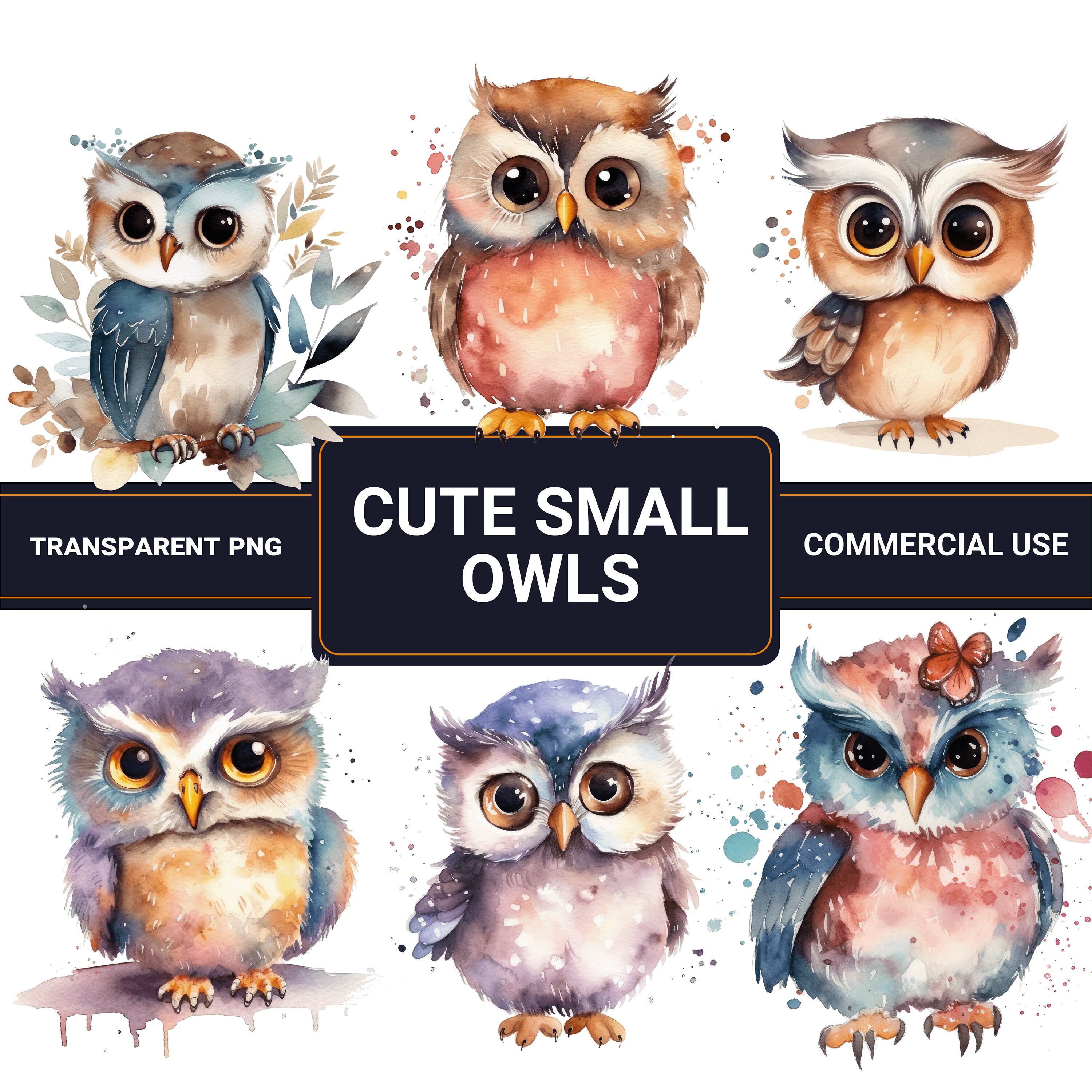 Watercolor Baby Owl Graphics Bundle 10 High Quality Digital Art Pngs ...