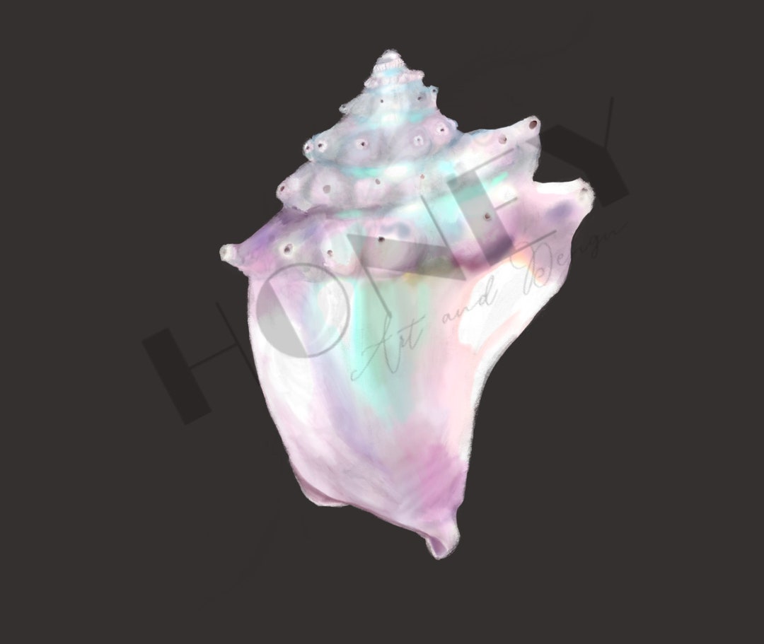 Time and Sea Seashell Digital Download Painting Frame TV Screensaver - Etsy